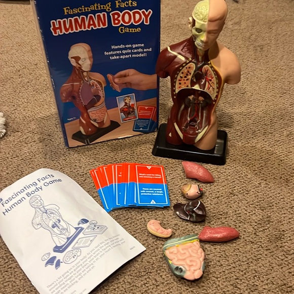 lakeshore Learning | Toys | Human Body Game Lakeshore Complete | Poshmark